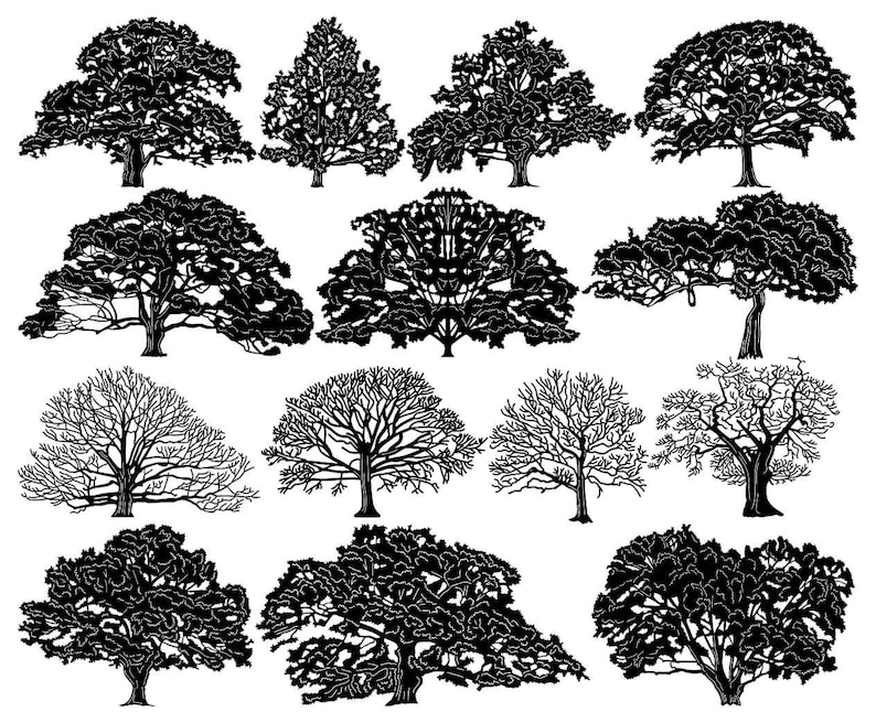 Oak Tree DXF SVG Files: CNC Laser Plasma Cut Ready - Etsy