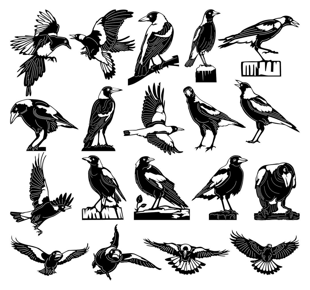 Australian Magpie Bird DXF SVG Files: CNC Laser Plasma Cut Ready - Etsy ...