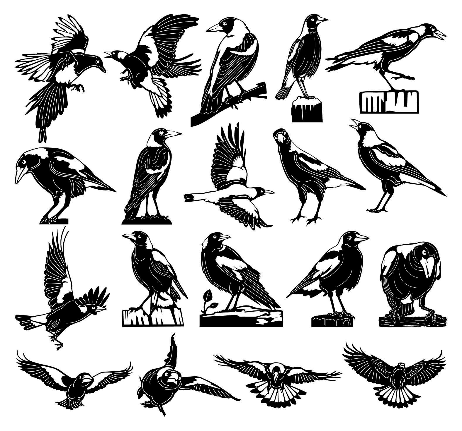Australian Magpies Birds-dxf Files and SVG Cut Ready for Cnc Machines ...