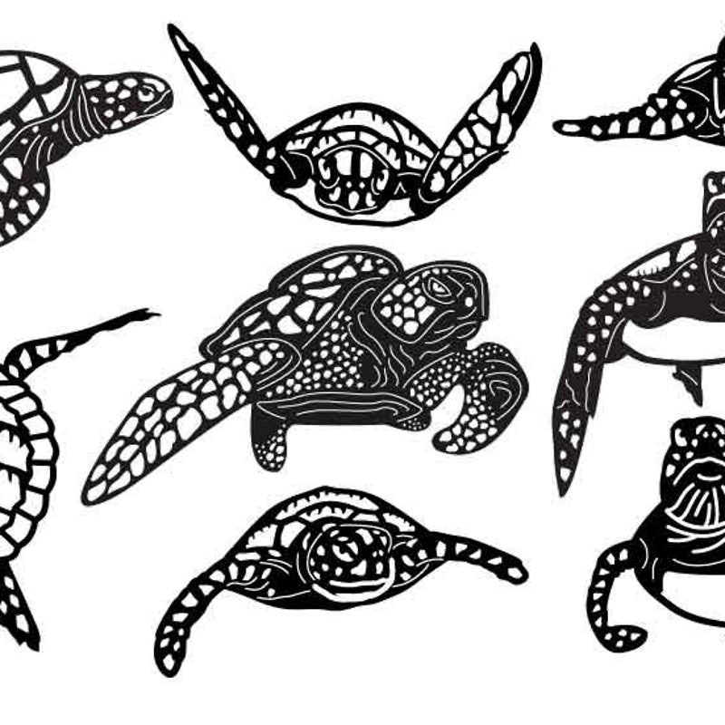 Sea Turtle Dxf - Etsy