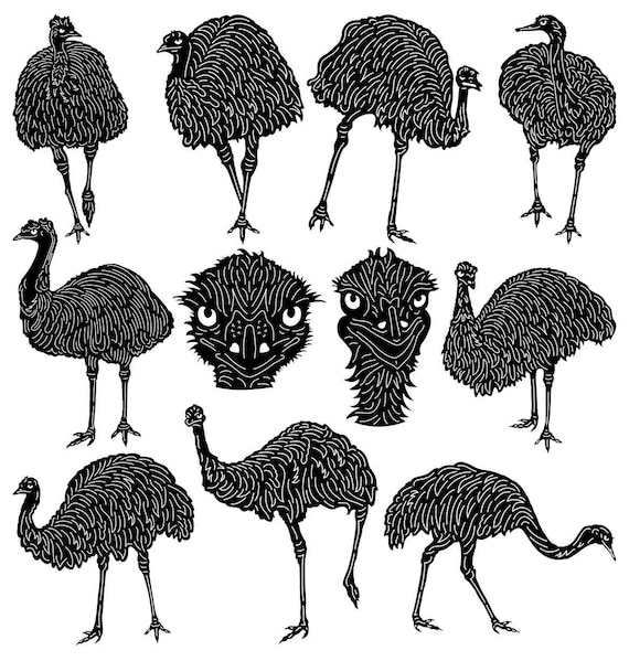Australian Emu Birds-DXF files and SVG cut ready for cnc | Etsy