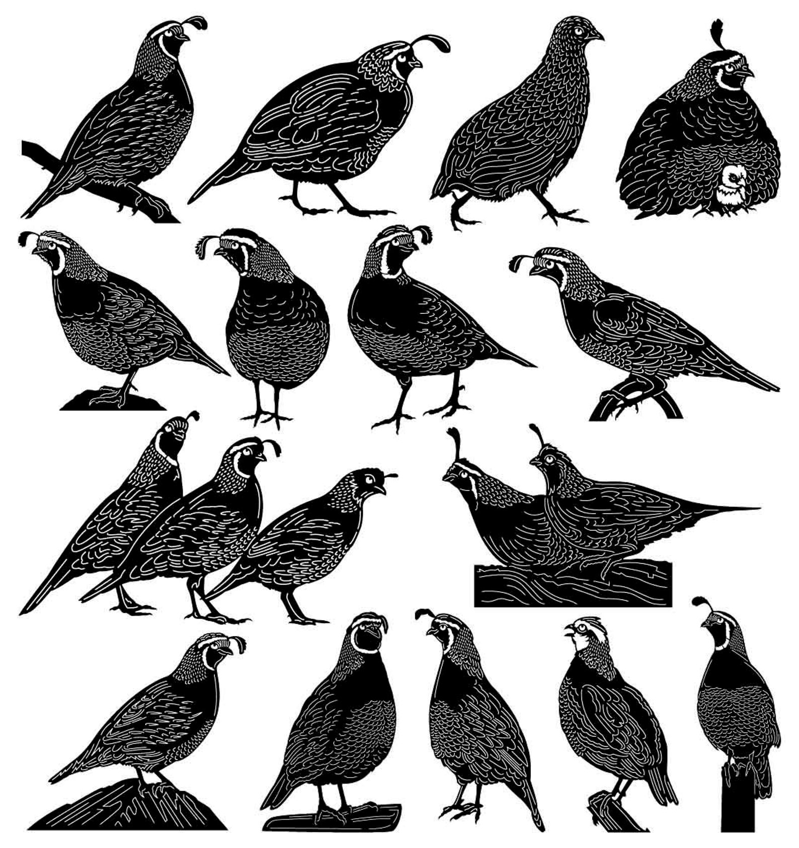 Quail Bird DXF SVG Files: CNC Laser Plasma Cut Ready - Etsy Australia