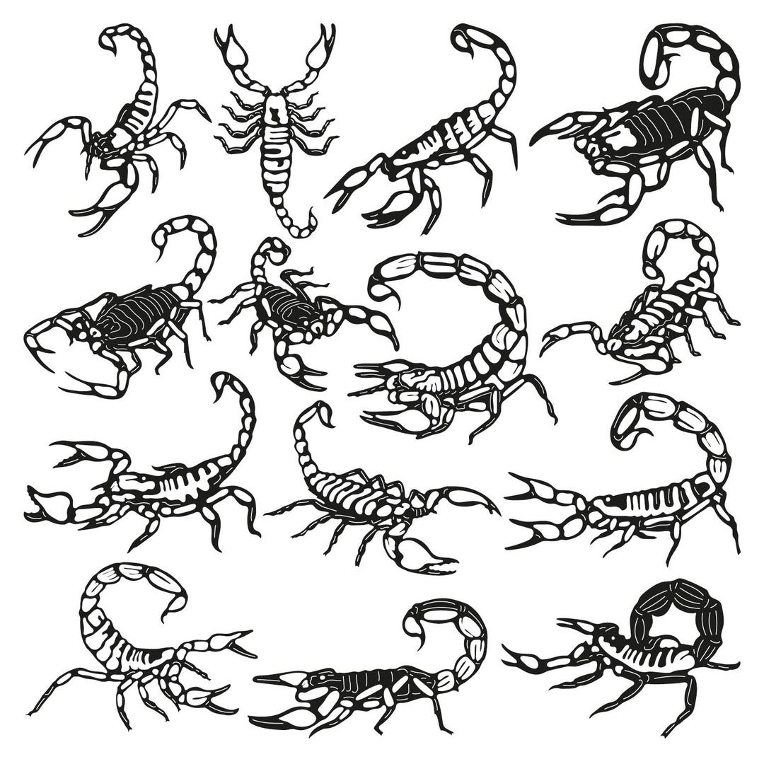 Scorpion DXF SVG Files: CNC Laser Plasma Cut Ready - Etsy