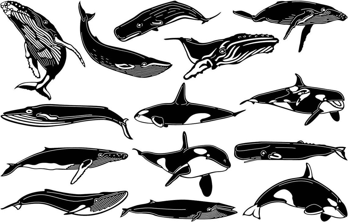 Whales-dxf Files and SVG Cut Ready for Cnc Machines, Laser Cutting and ...