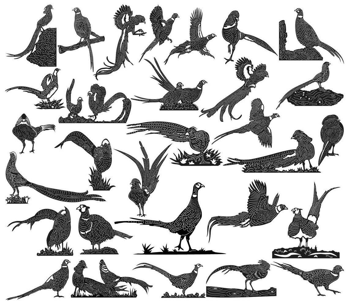 Pheasant Bird-dxf Files and SVG Cut Ready for Cnc Machines, Laser ...