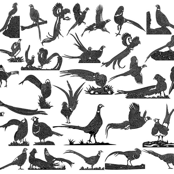 Pheasant - Etsy