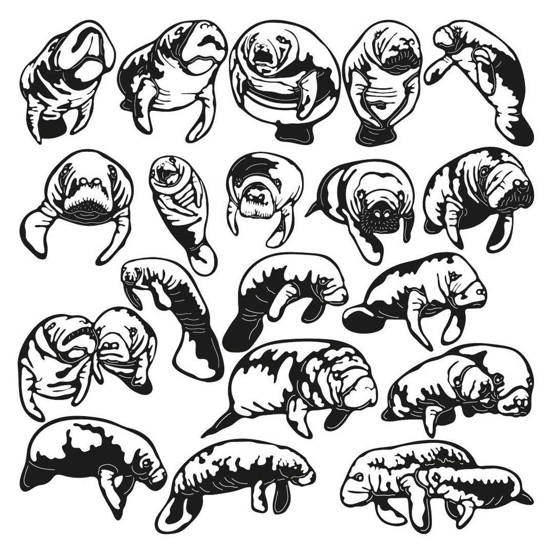 Florida Manatee DXF SVG: CNC Laser Plasma Cut File - Etsy