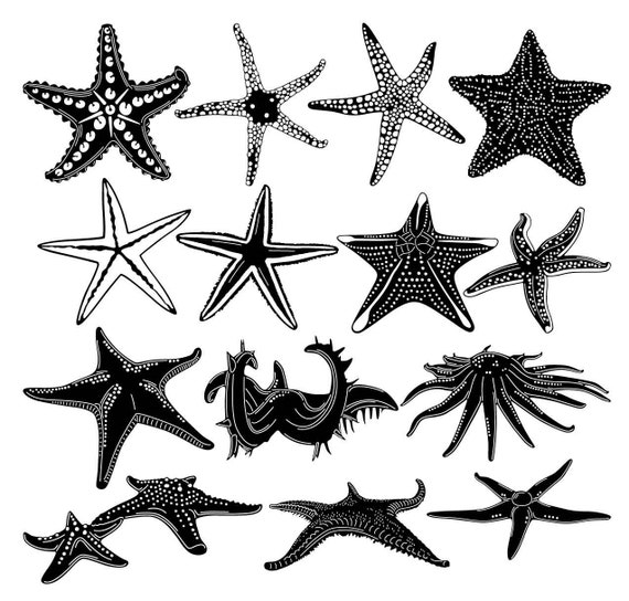 Starfish or Sea Stars-dxf Files and SVG Cut Ready for Cnc | Etsy