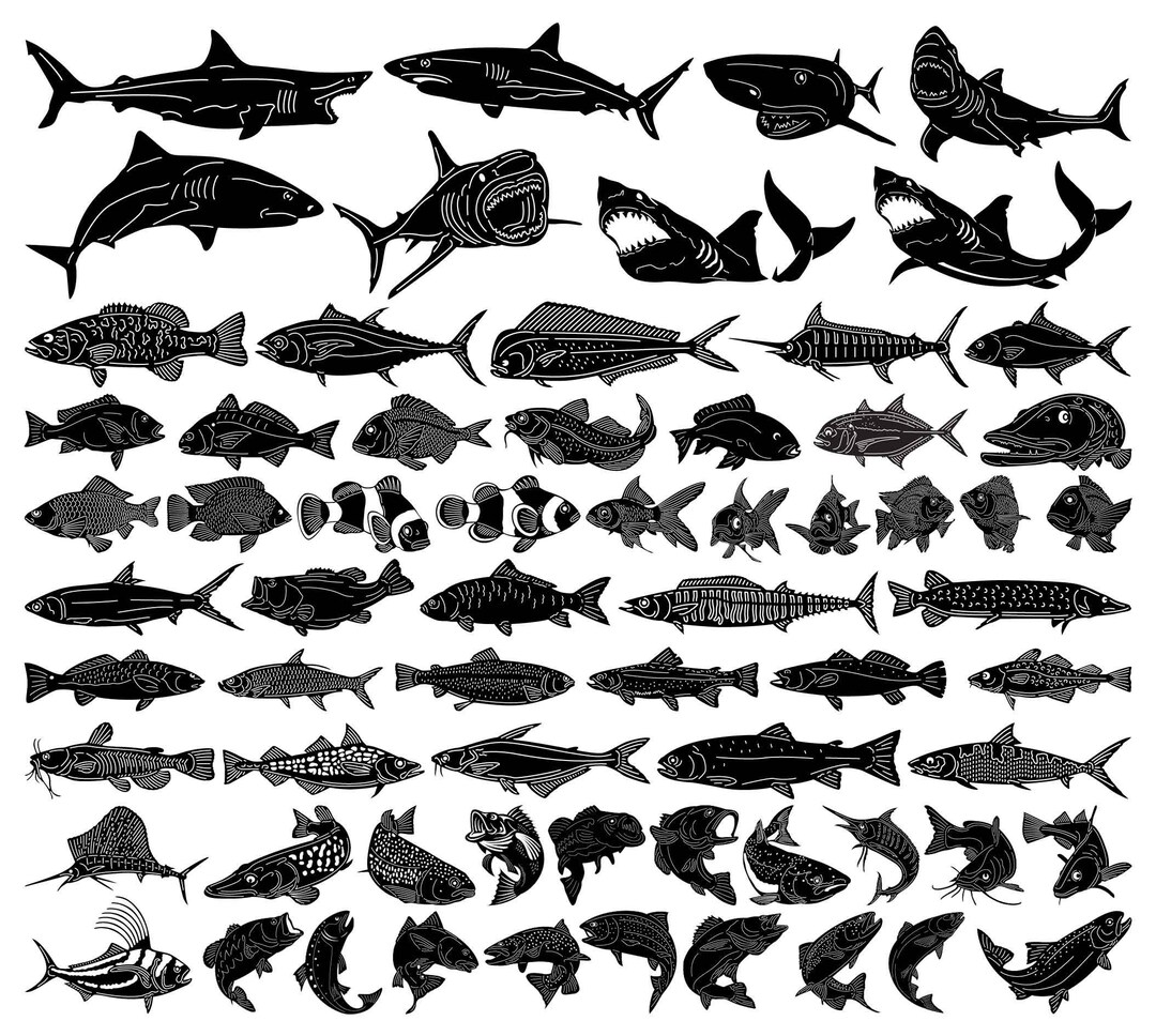 Fishes, Tuna, Shark, Bass, Trout, Salmon-dxf Files and SVG Cut Ready ...