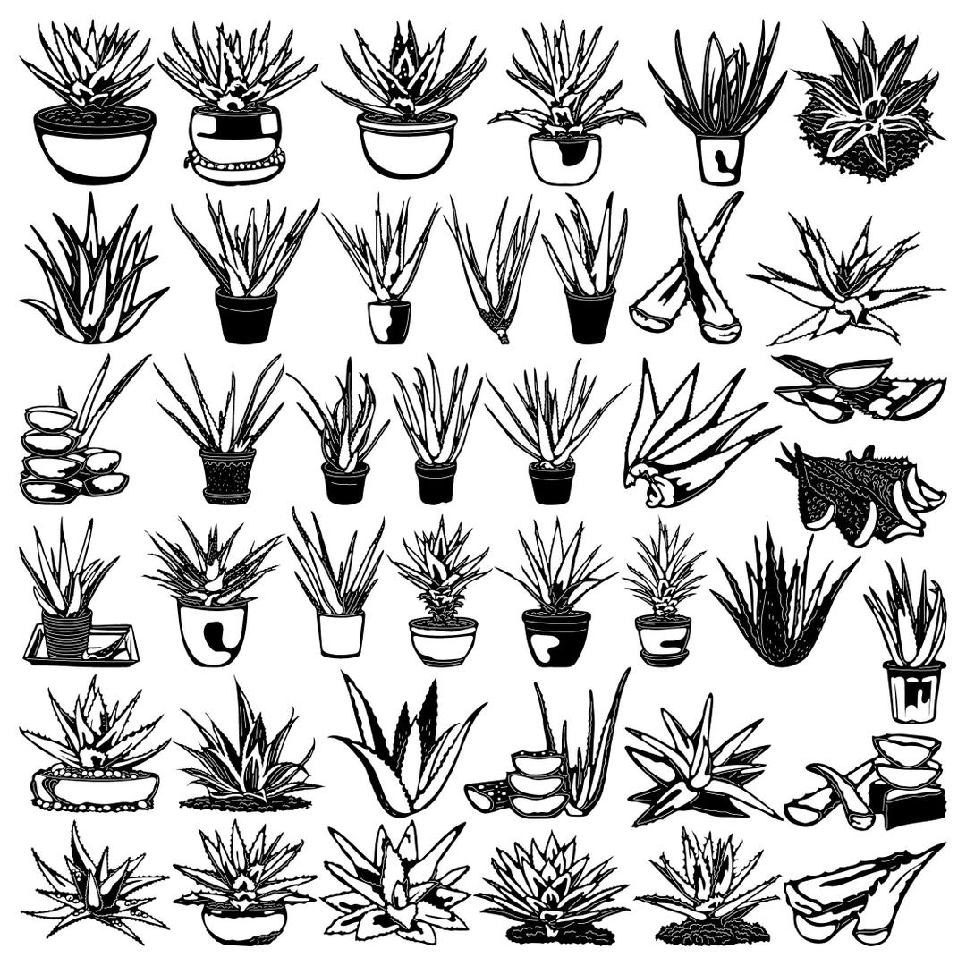 Aloe Vera Plants DXF SVG Files: CNC Laser Cut Ready - Etsy