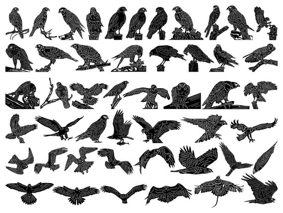 Falcons and Hawks-DXF files and SVG cut ready for cnc | Etsy
