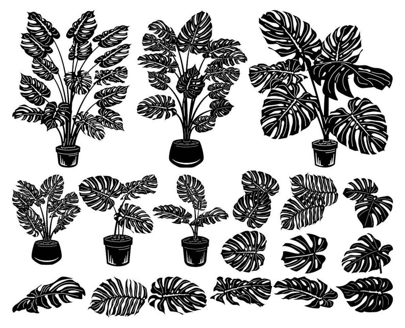 Monstera Plant DXF SVG Files: CNC Laser Plasma Cut - Etsy