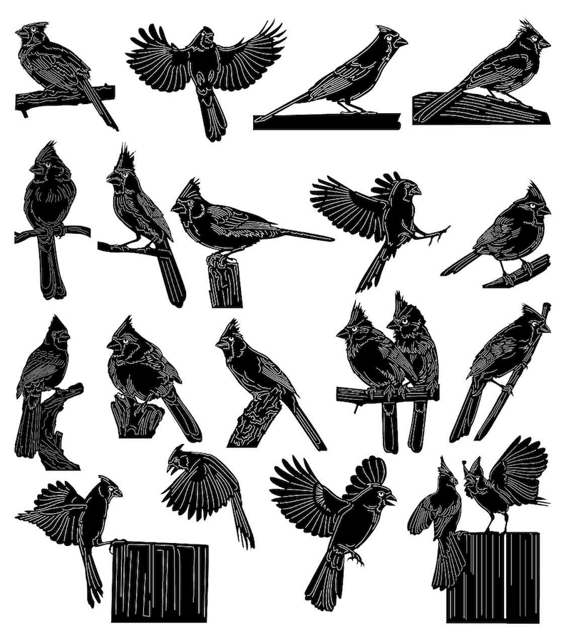 Cardinal Bird DXF SVG Files: CNC Laser Plasma Cut Ready - Etsy