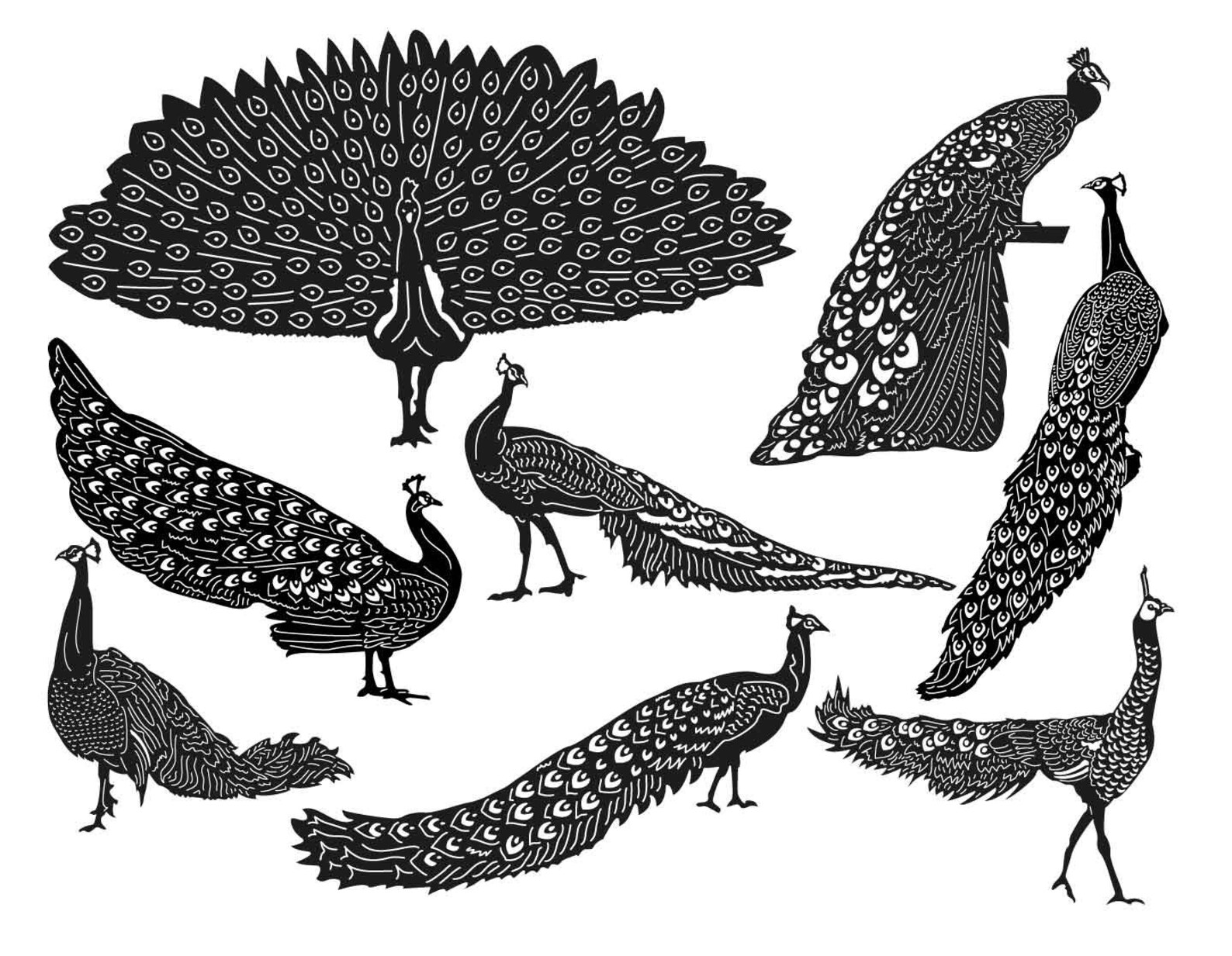 Peafowl Peacock Birds-dxf Files and SVG Cut Ready for Cnc Machines ...