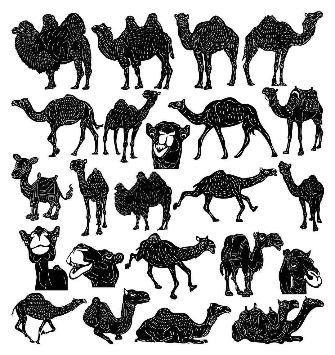 Camel DXF SVG Files: CNC Laser Plasma Cut Ready - Etsy