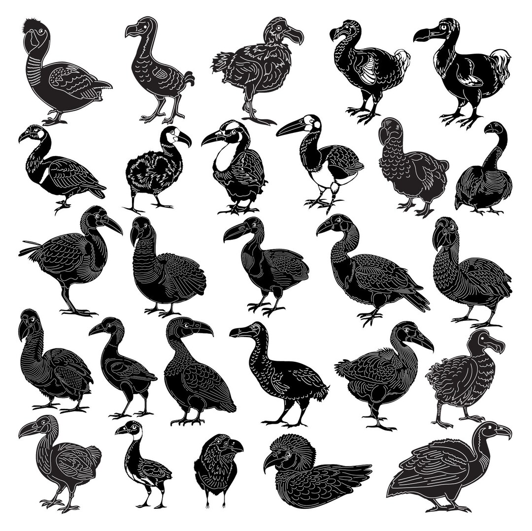 DODO Birds-dxf Files and SVG Cut Ready for Cnc Machines, Laser Cutting ...