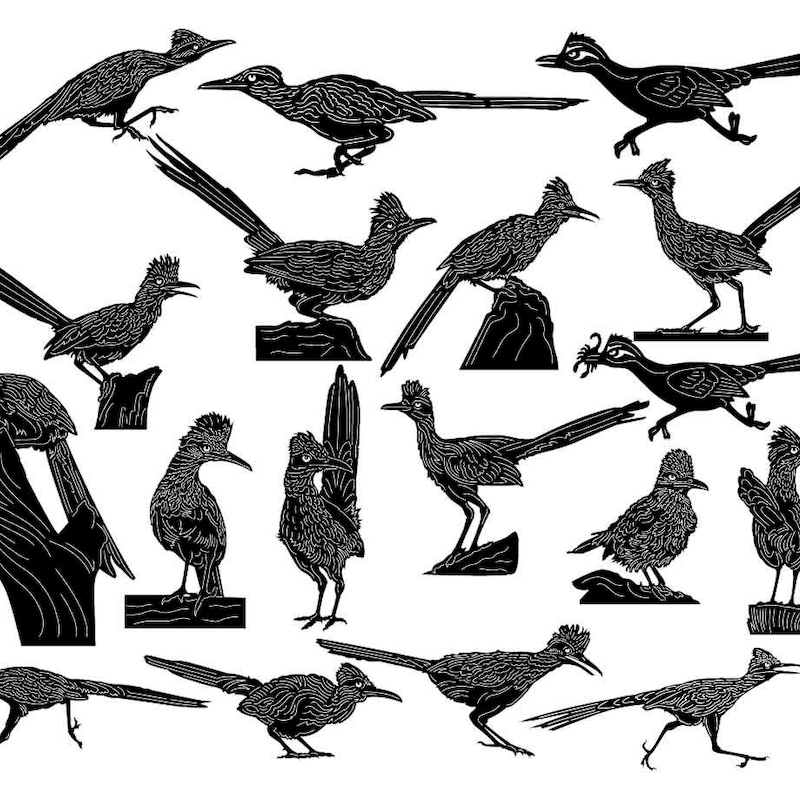 Cnc Roadrunner Files - Etsy