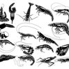 Filigree Beta Fish SVG Cut Files (svg Dxf Png Eps Jpeg) Silhouette ...