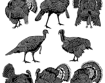 Wild Turkey Stencil