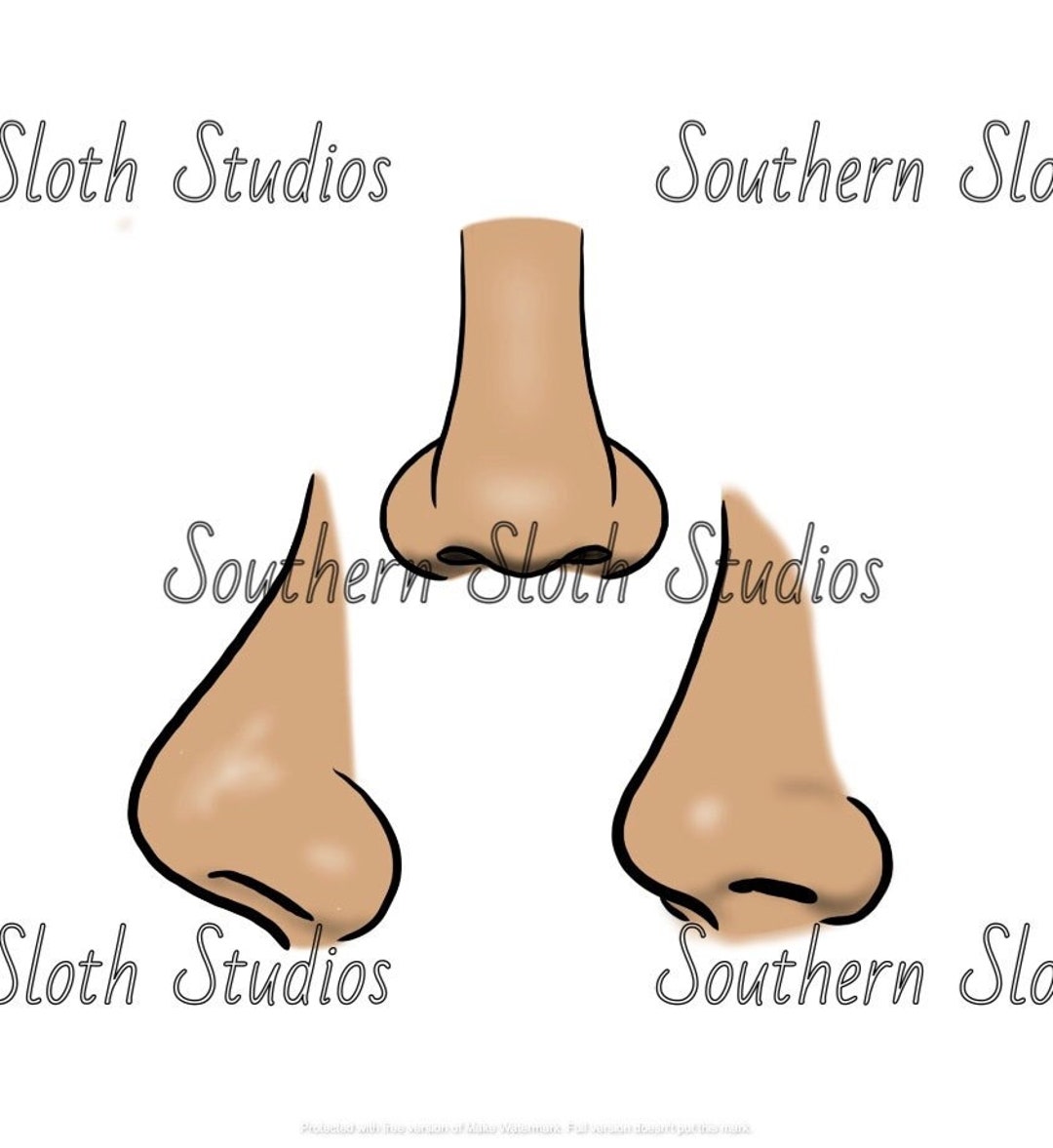 Nose Anatomy Goodnotes Sticker Set - PNG Download - Digital - Etsy