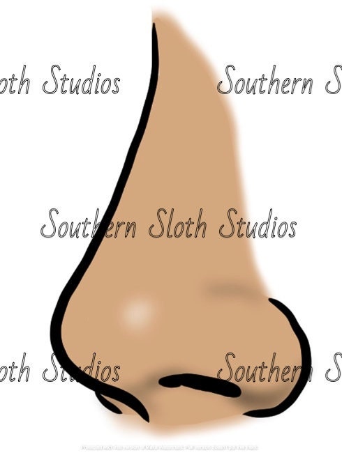 Nose Anatomy Goodnotes Sticker Set - PNG Download - Digital - Etsy