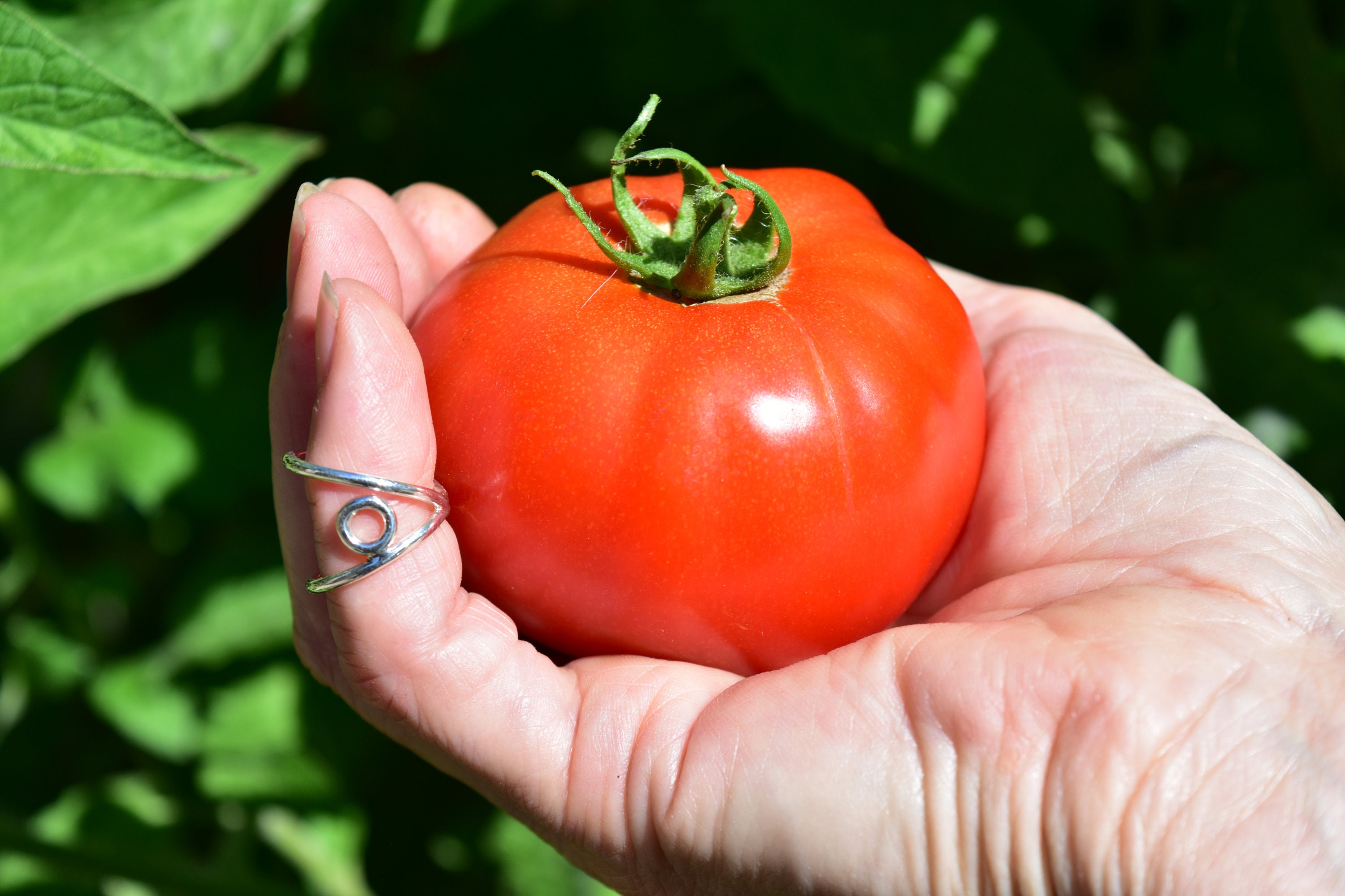 Chameleon Lateral Splint #17 - Custom Made Sterling Silver Arthritic ...