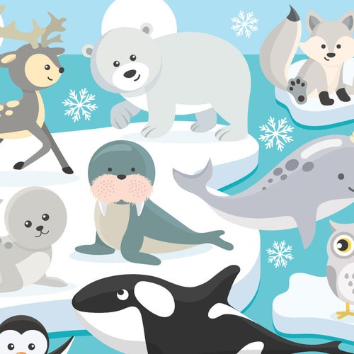 Arctic Animals Clipart Polar Bear Vector Graphics Penguin - Etsy