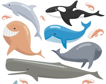 Nautical Clipart Clip Art Anchor Clipart Whale Clipart - Etsy