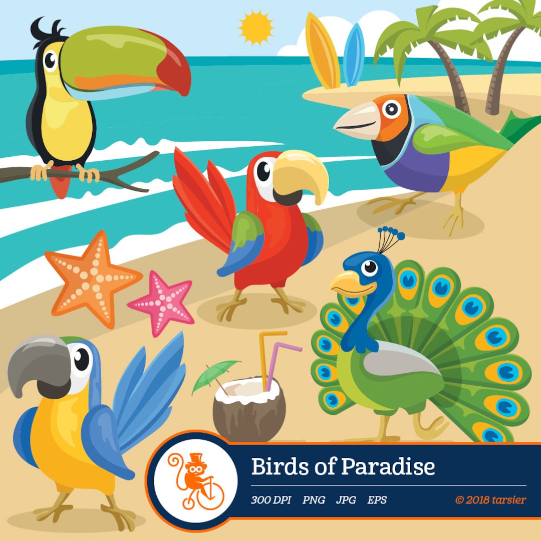 Birds of Paradise Clip Art, Tropical Birds Clipart, Parrot Vector ...