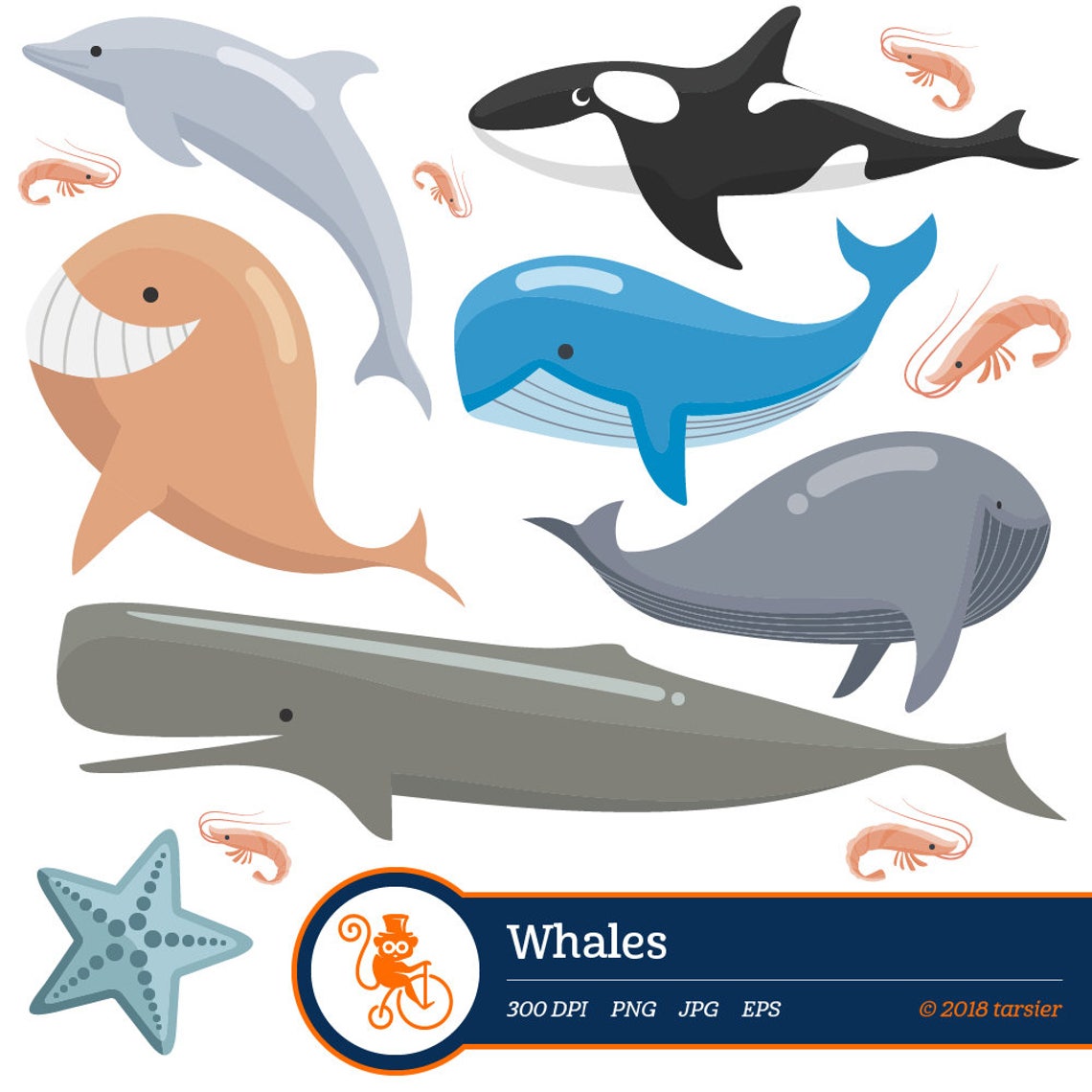 Whales Clipart, Nautical Whale Graphics, Whale Vector Graphics, Digital ...