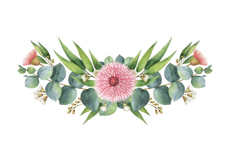 Australian Native Eucalyptus Watercolour Flower Leaf Banner Blank Card ...