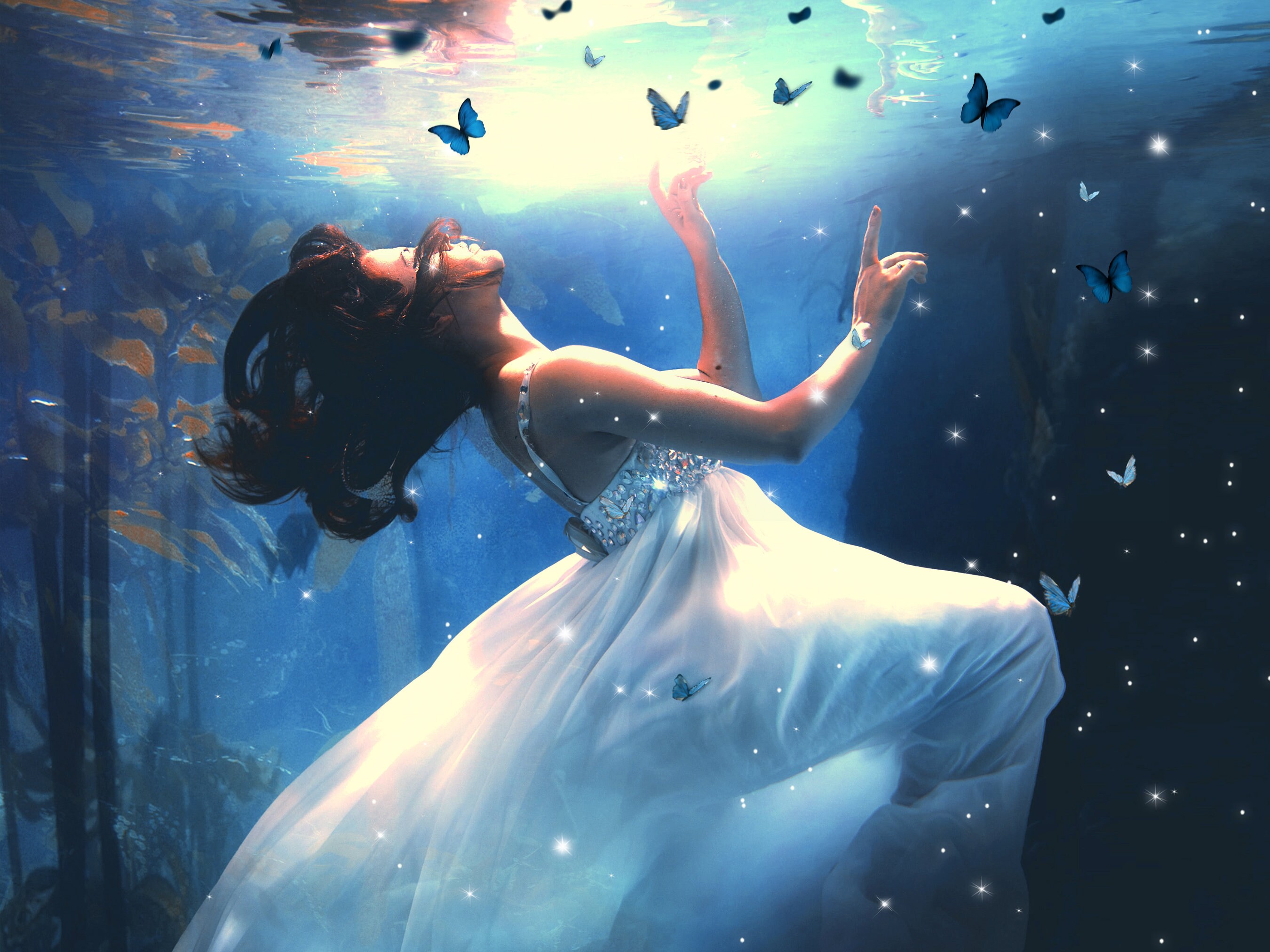 100 Blue Floating Butterfly Overlays Photoshop Overlays - Etsy