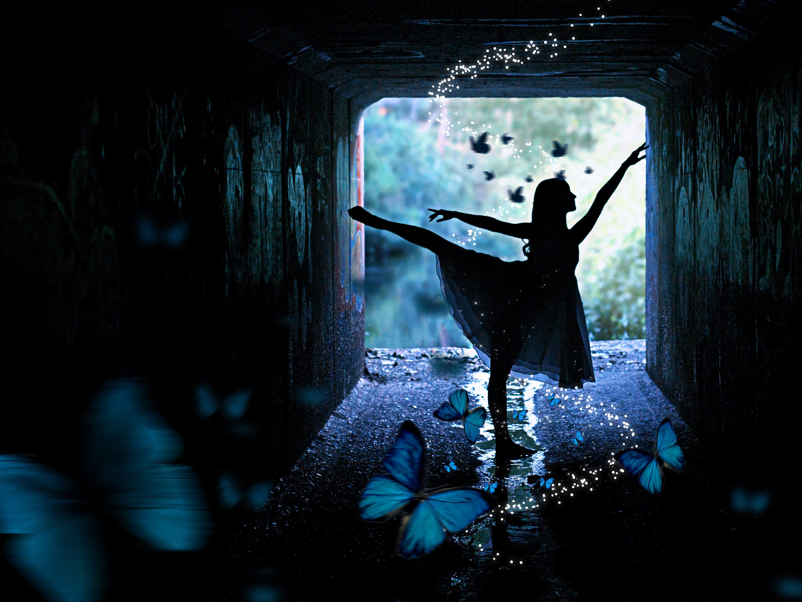 100 Blue Floating Butterfly Overlays Photoshop Overlays - Etsy