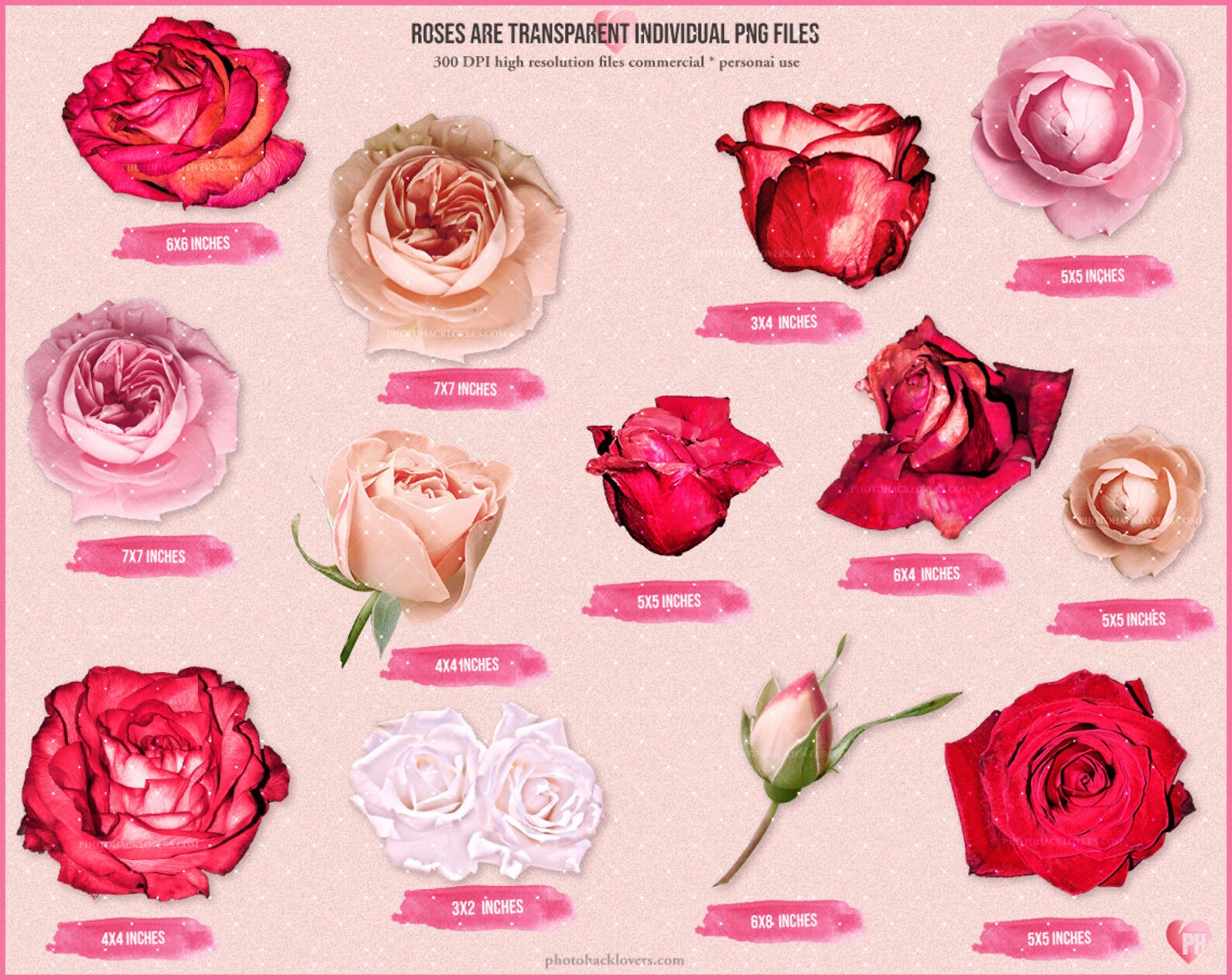 Red Rose Photoshop Overlays: Multicolored Flowers (instant Download) - Etsy