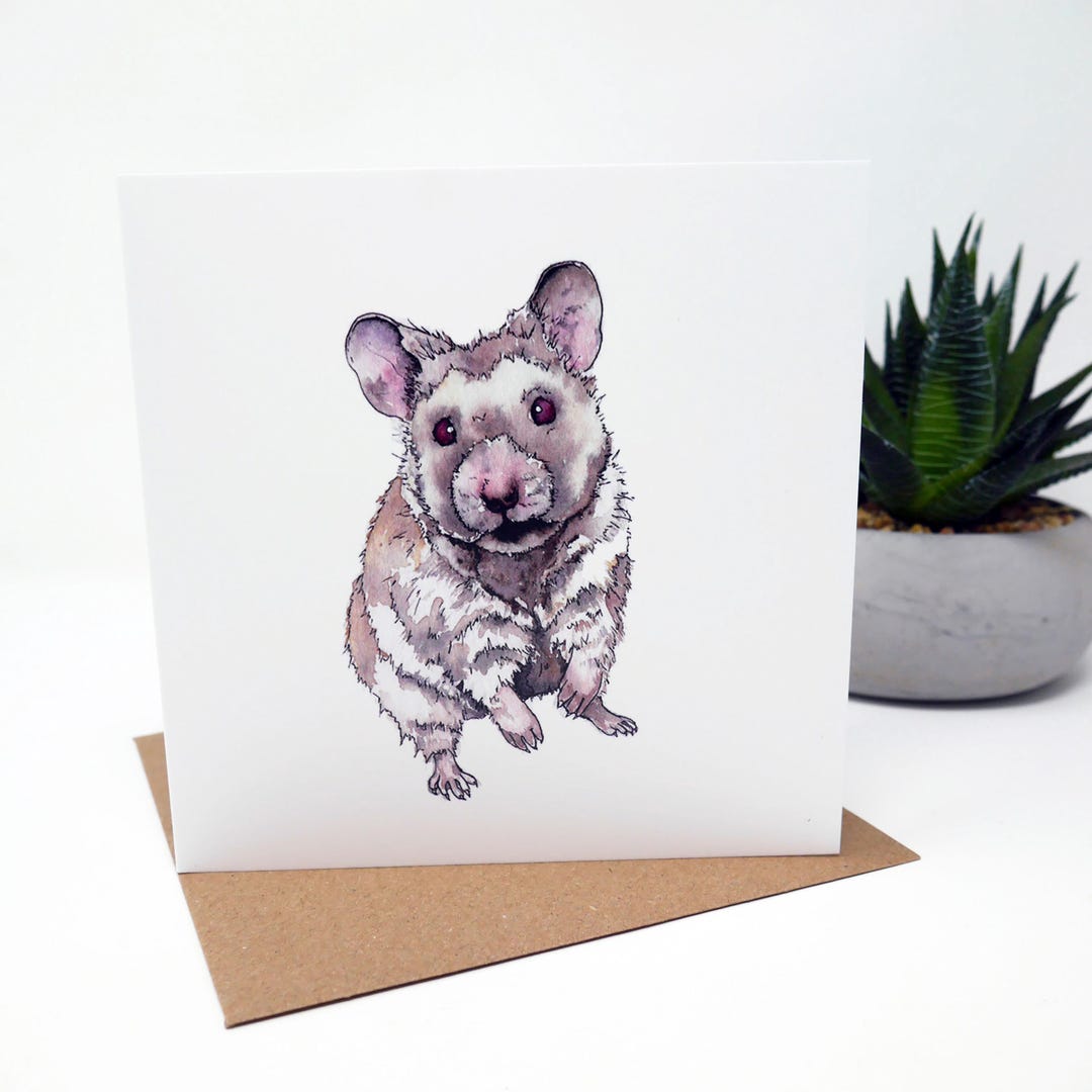 Hamster, Syrian Hamster, Hamster Birthday, Small Pet, Hamster Gift ...