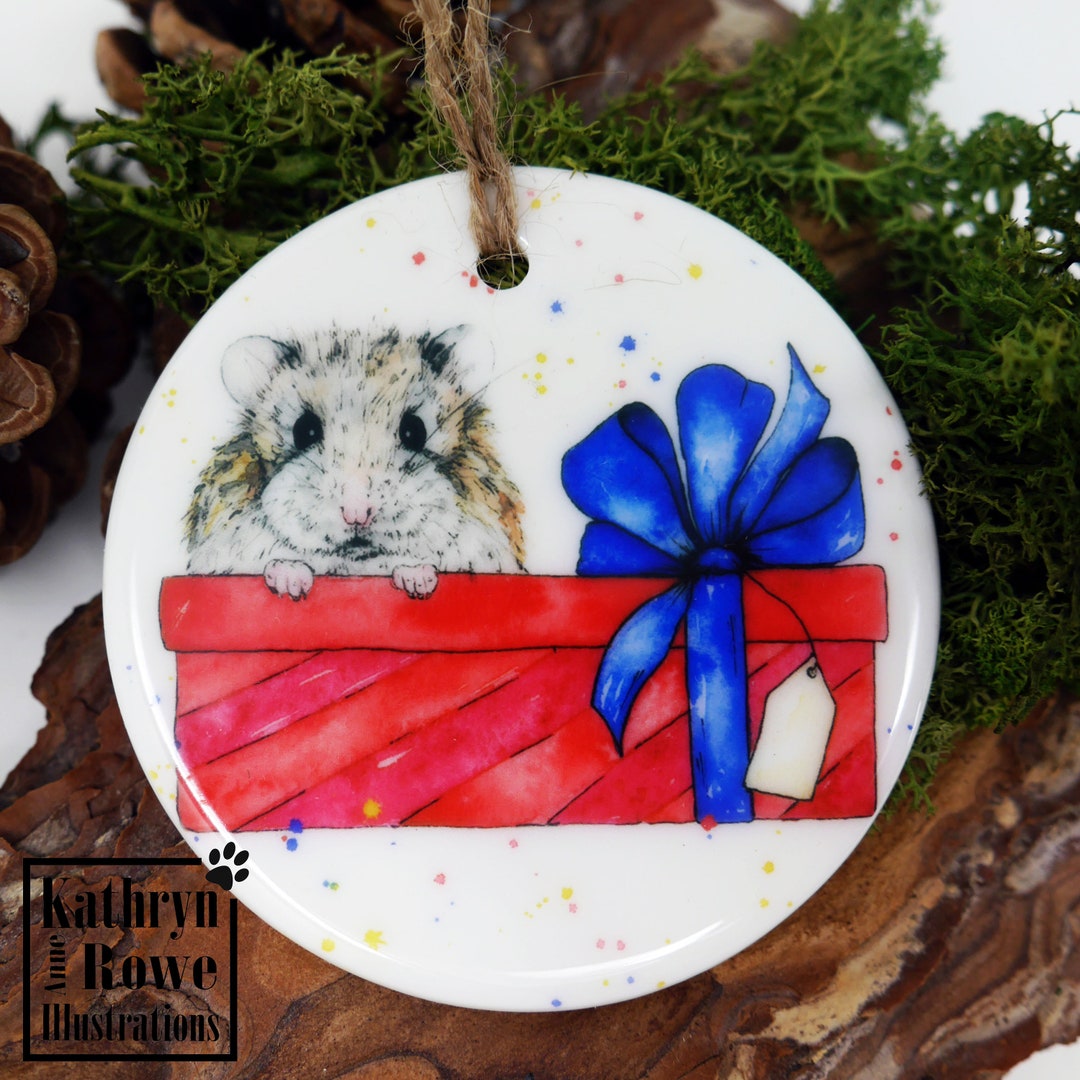 Hamster, Roborovski Hamster, Hamster Birthday, Small Pet, Hamster Gift ...