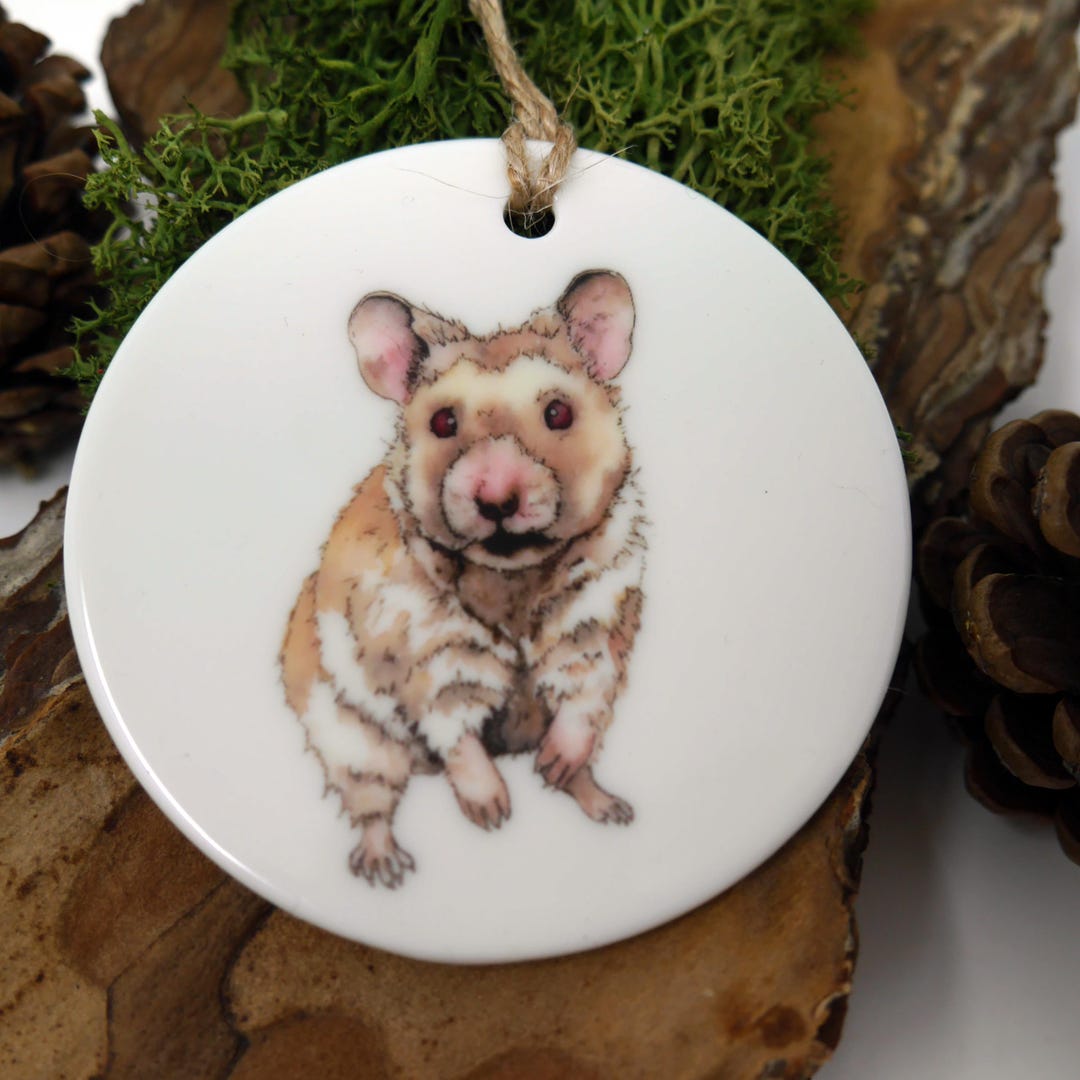 Hamster, Syrian Hamster, Hamster Birthday, Hamster Gift, Hammy Birthday ...