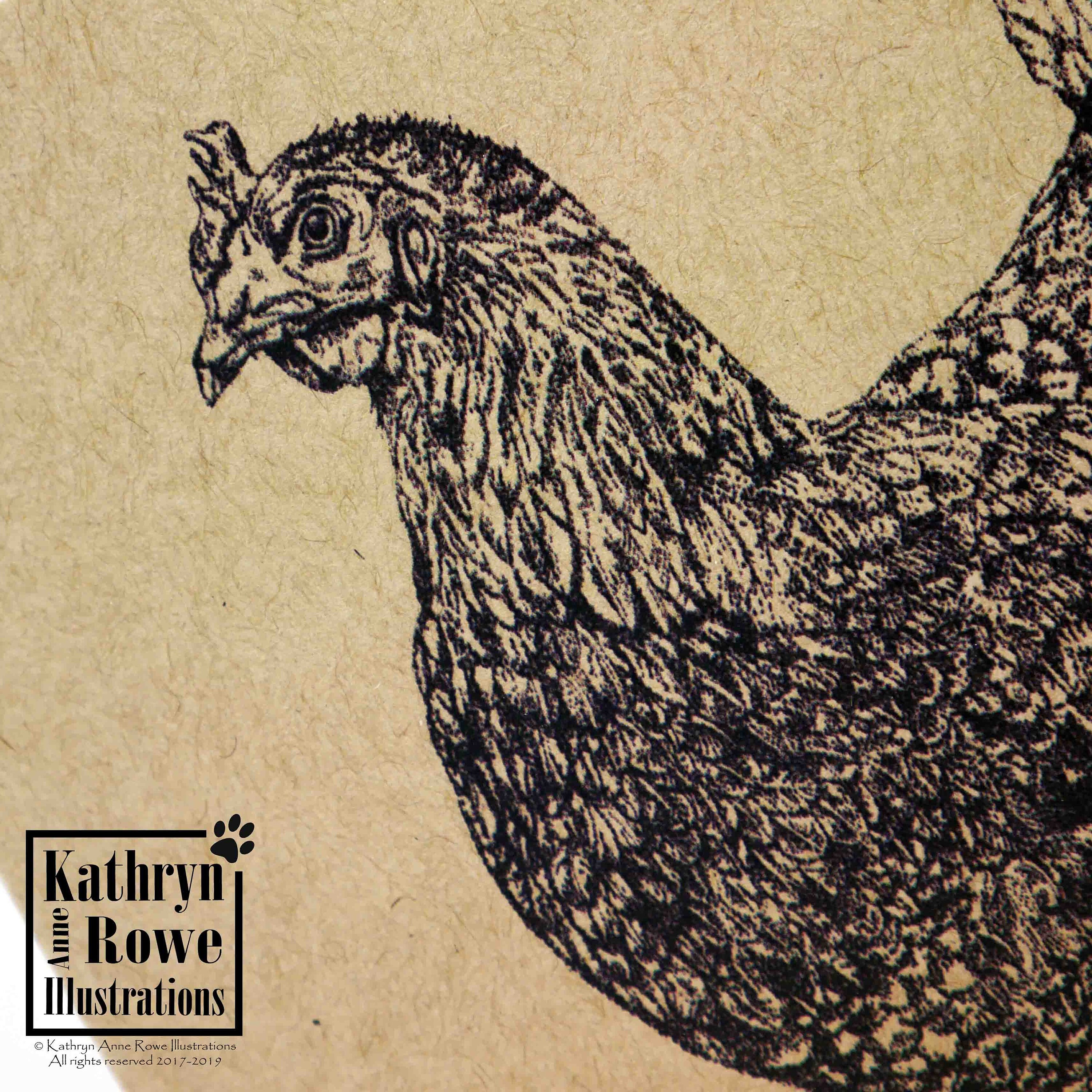 Chicken, Chicken Greeting Card, Hen, Hen Card, Chicken Lover, Chicken ...
