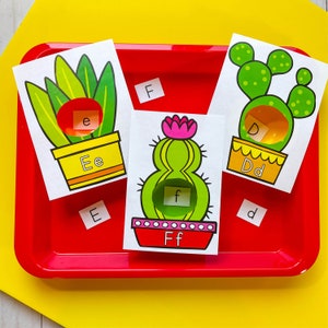 Cactus Preschool Curriculum Printable, Homeschool Preschool, Preschool ...