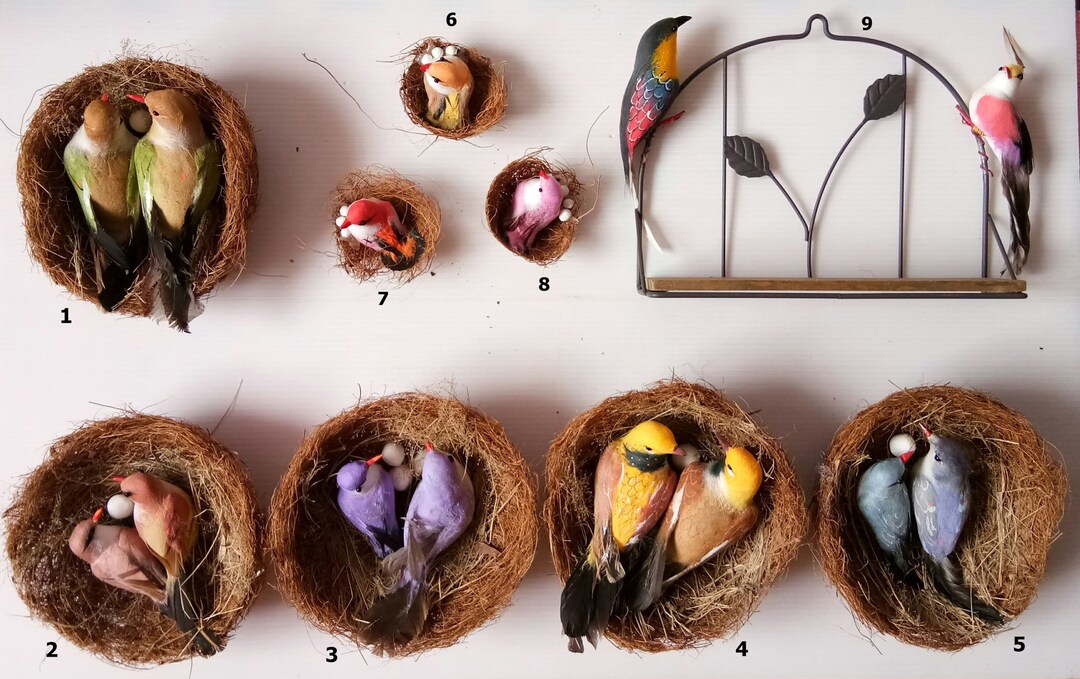 Nature's Masterpiece: Lifelike Bird Replica Handcrafted With Feathers ...
