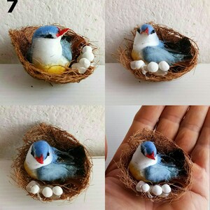 Nature's Masterpiece: Lifelike Bird Replica Handcrafted With Feathers ...