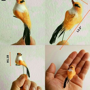 Nature's Masterpiece: Lifelike Bird Replica Handcrafted With Feathers ...