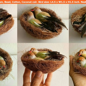 Nature's Masterpiece: Lifelike Bird Replica Handcrafted With Feathers ...