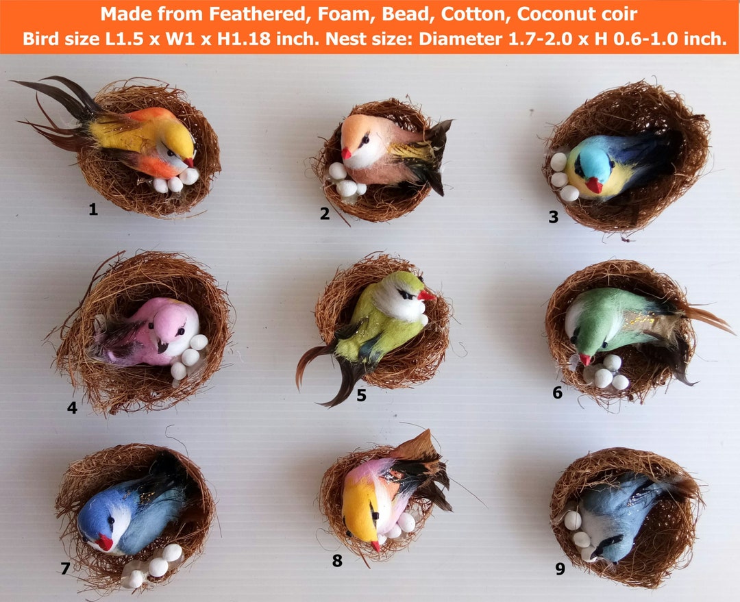 Nature's Masterpiece: Lifelike Bird Replica Handcrafted With Feathers ...