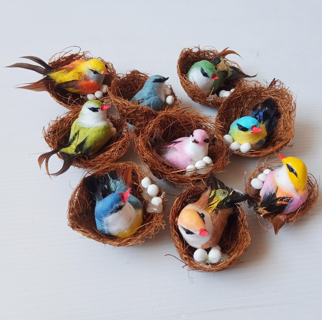 Nature's Masterpiece: Lifelike Bird Replica Handcrafted With Feathers ...