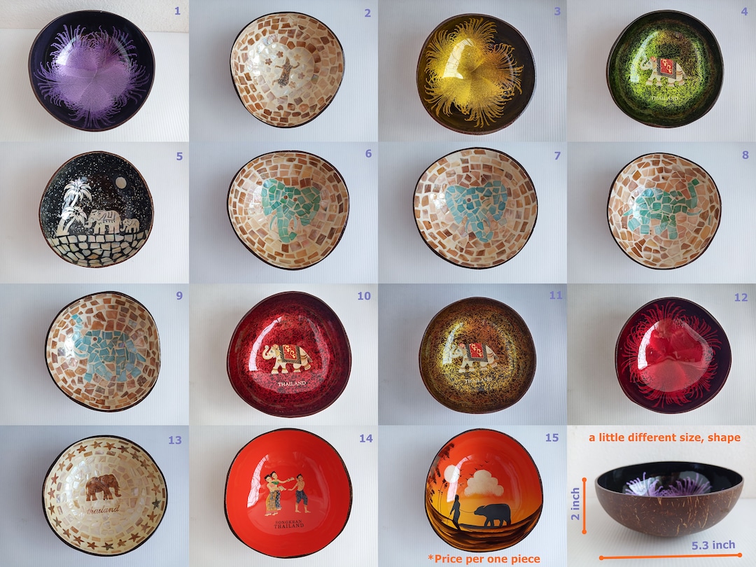 Crafted With Care: Hand-painted Coconut Shell Bowl A Fusion of Art and ...
