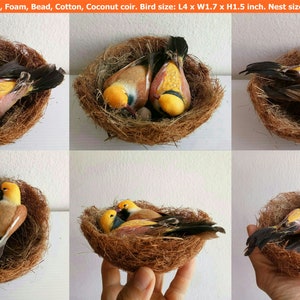Nature's Masterpiece: Lifelike Bird Replica Handcrafted With Feathers ...