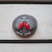 Robin Pebble Gift, Robins Pebble, Painted Robins, Robin on a Pebble ...