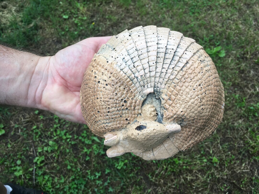 Curled up Armadillo Concrete Statue - Etsy