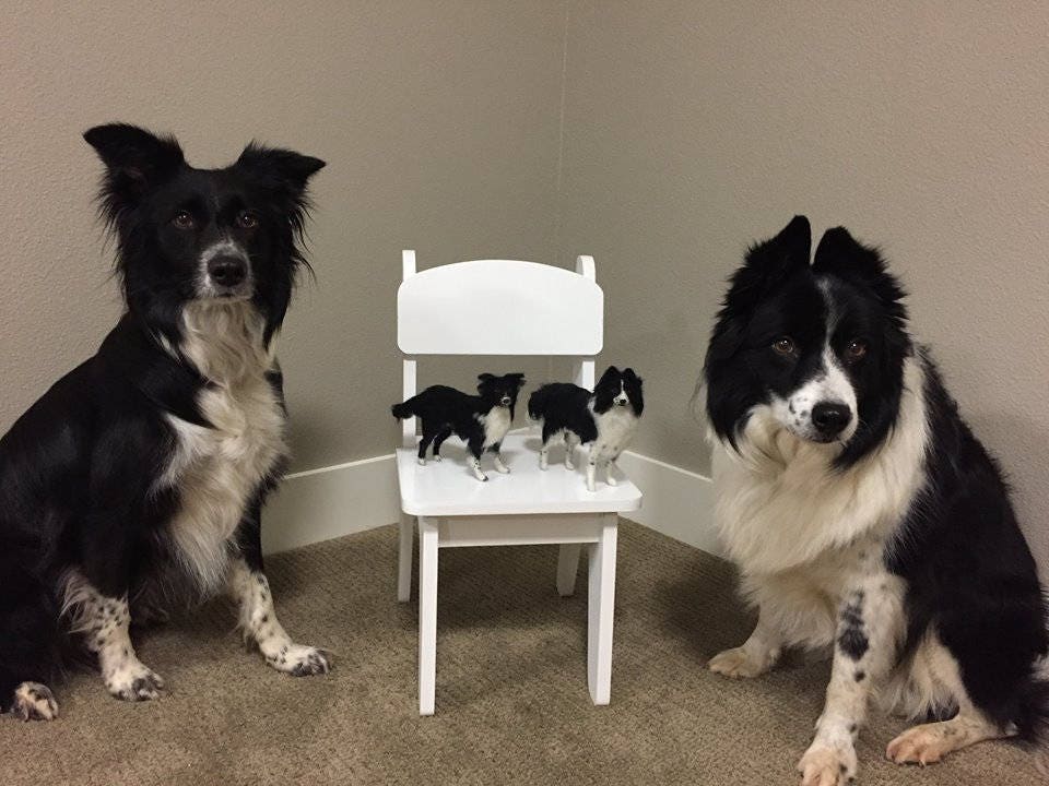 Custom Made Needle Felted Dog / Border Collies - Etsy
